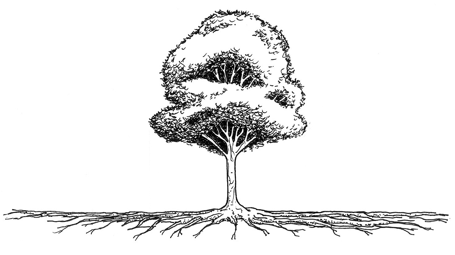 Hycell™ Cellular Confinement Geocells, Hy-Tex UK
