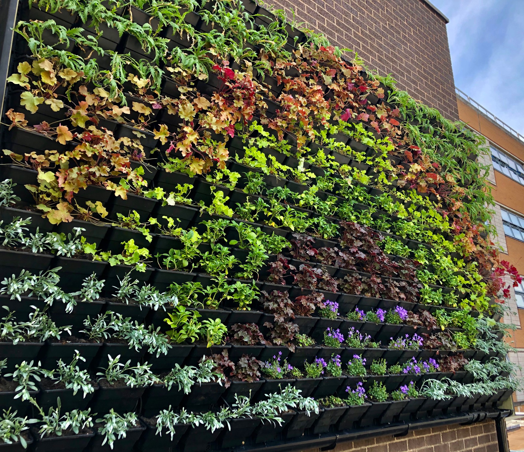 VersiWall® GP, Hy-Tex UK