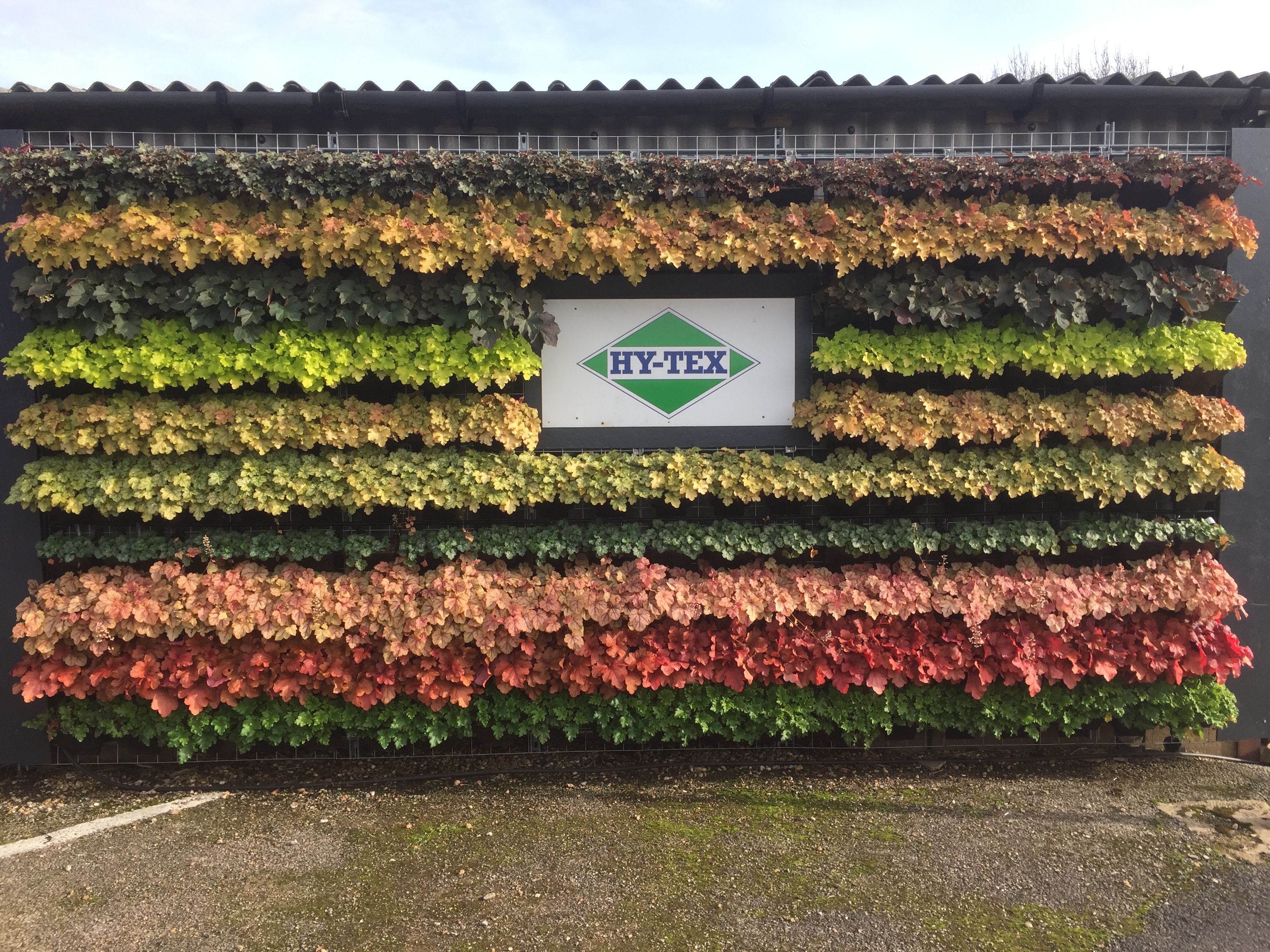 VersiWall® GP, Hy-Tex UK