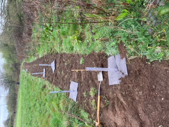 Ecotex™ 100 Biodegradable Tree Mats, Hy-Tex UK