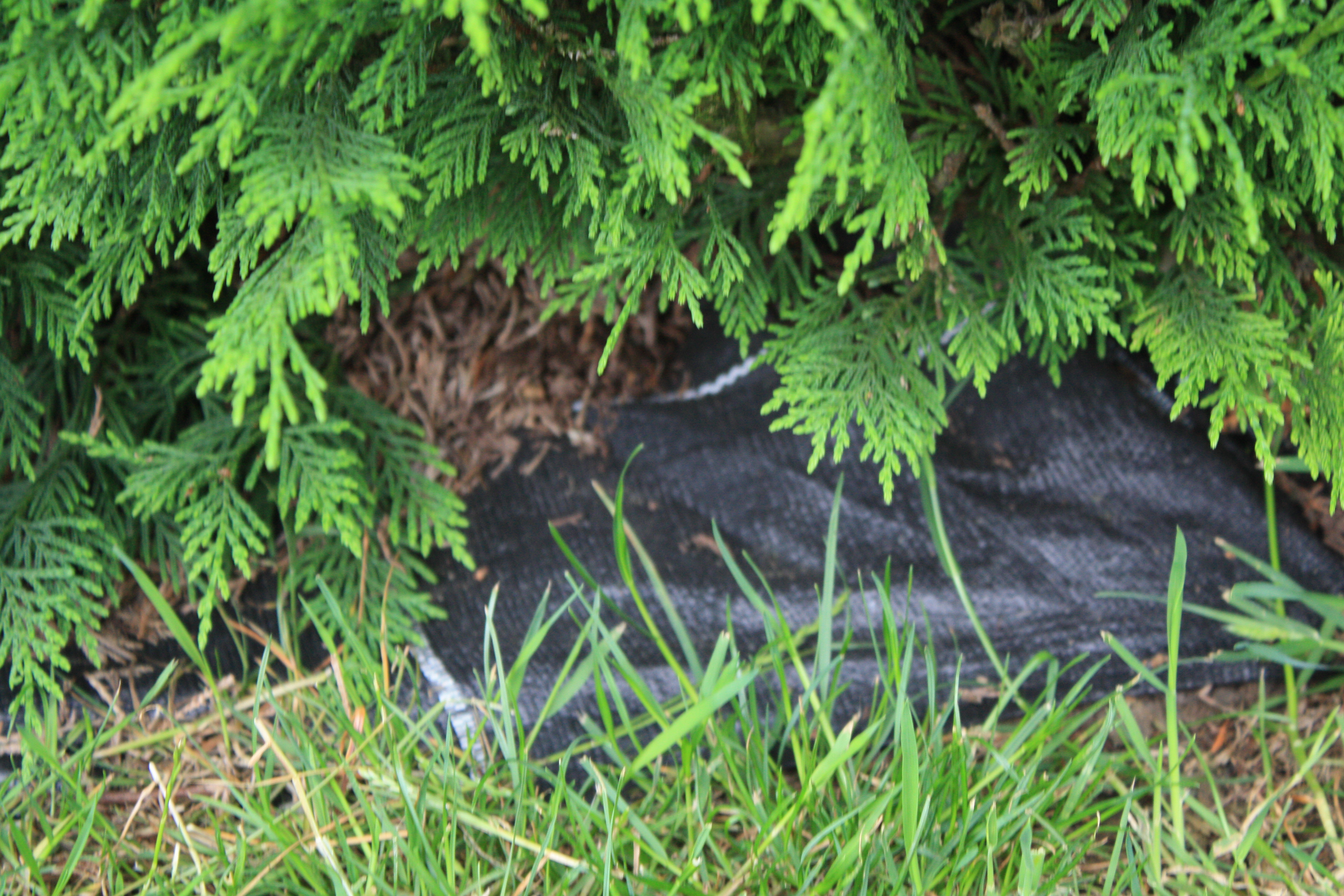 Covertex™ Ground Cover, Hy-Tex UK