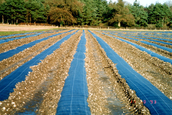 Covertex™ Ground Cover, Hy-Tex UK