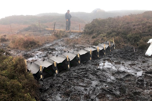 Timber Posts, Hy-Tex UK