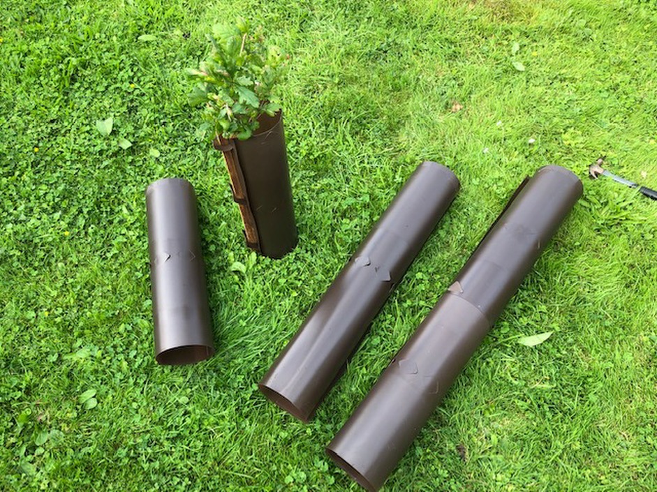 Eco-Haven™ Original - Biodegradable Tree, Shrub, Coppice & Vole Guards ...