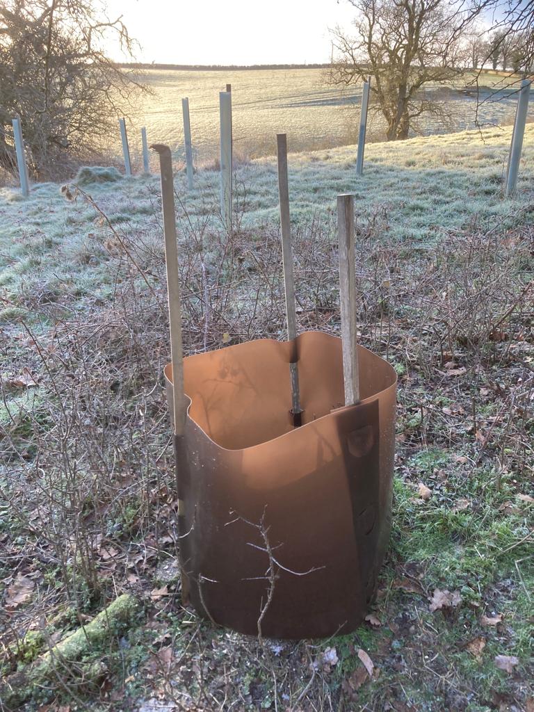 Eco-Haven™ Original - Biodegradable Tree, Shrub, Coppice & Vole Guards ...