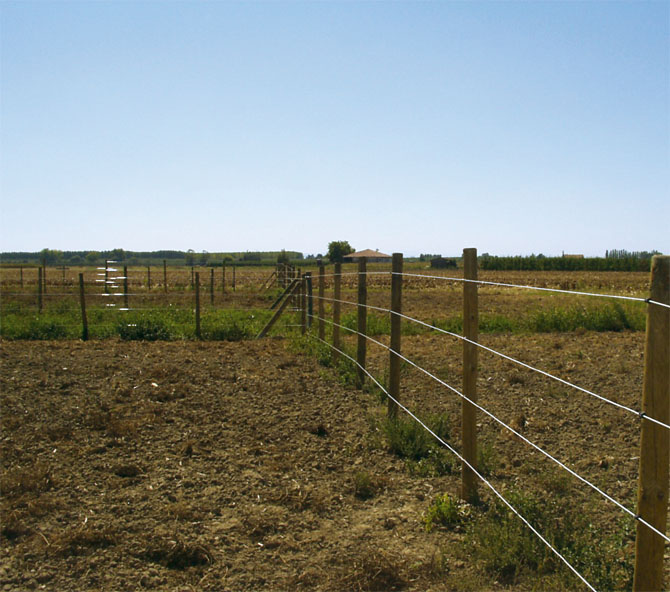 Bayco® Equine - Horse Sight Fence, Hy-Tex UK