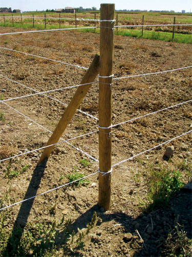 Bayco® Equine - Horse Sight Fence, Hy-Tex UK