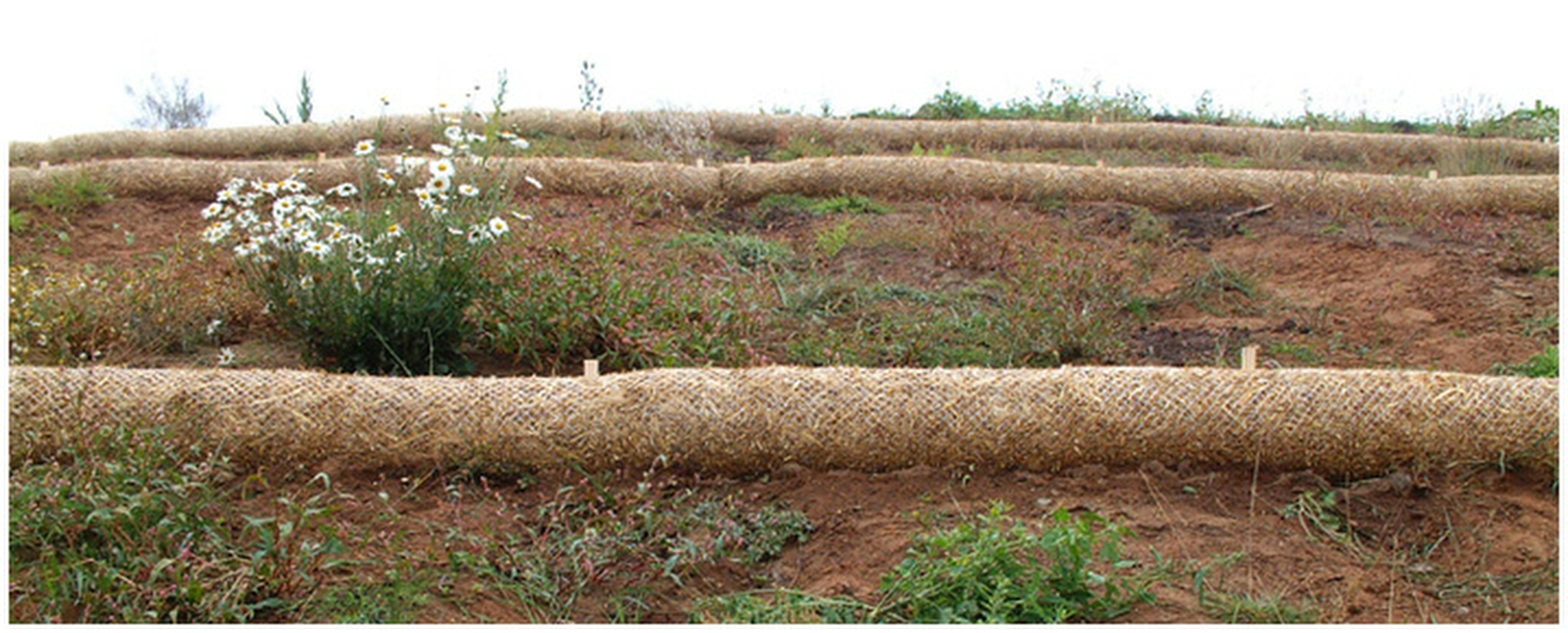Straw Wattles - Silt and Sediment Control, Hy-Tex UK