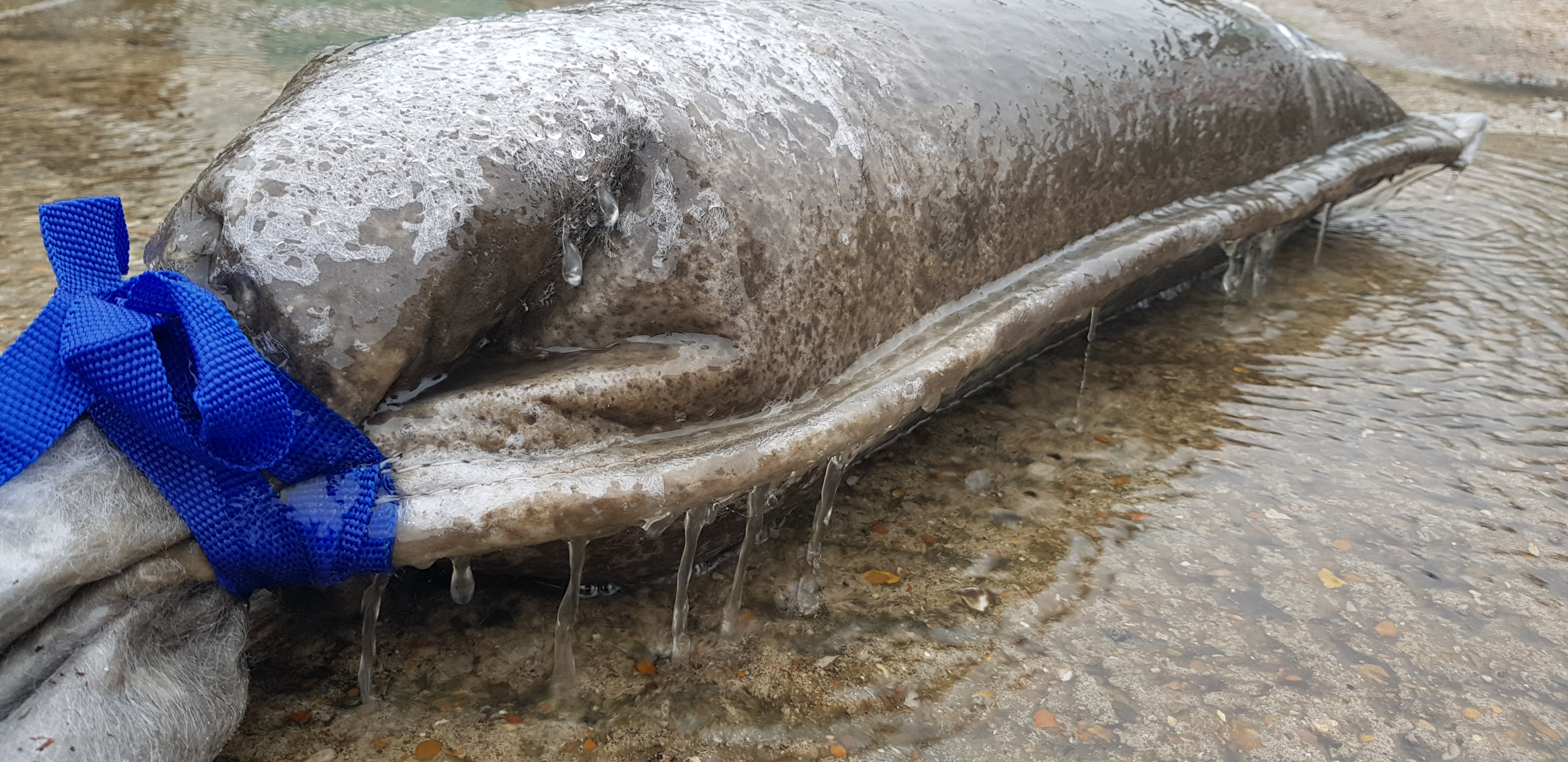 Biobrane™ W70 Dewatering Bag, Hy-Tex UK