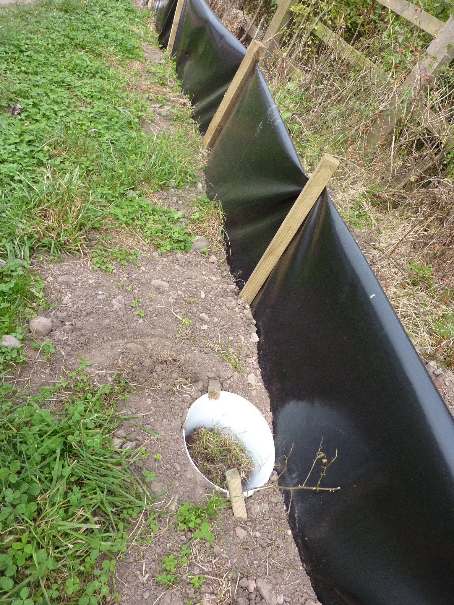 Ecofender™ Pitfall Traps, Hy-Tex UK