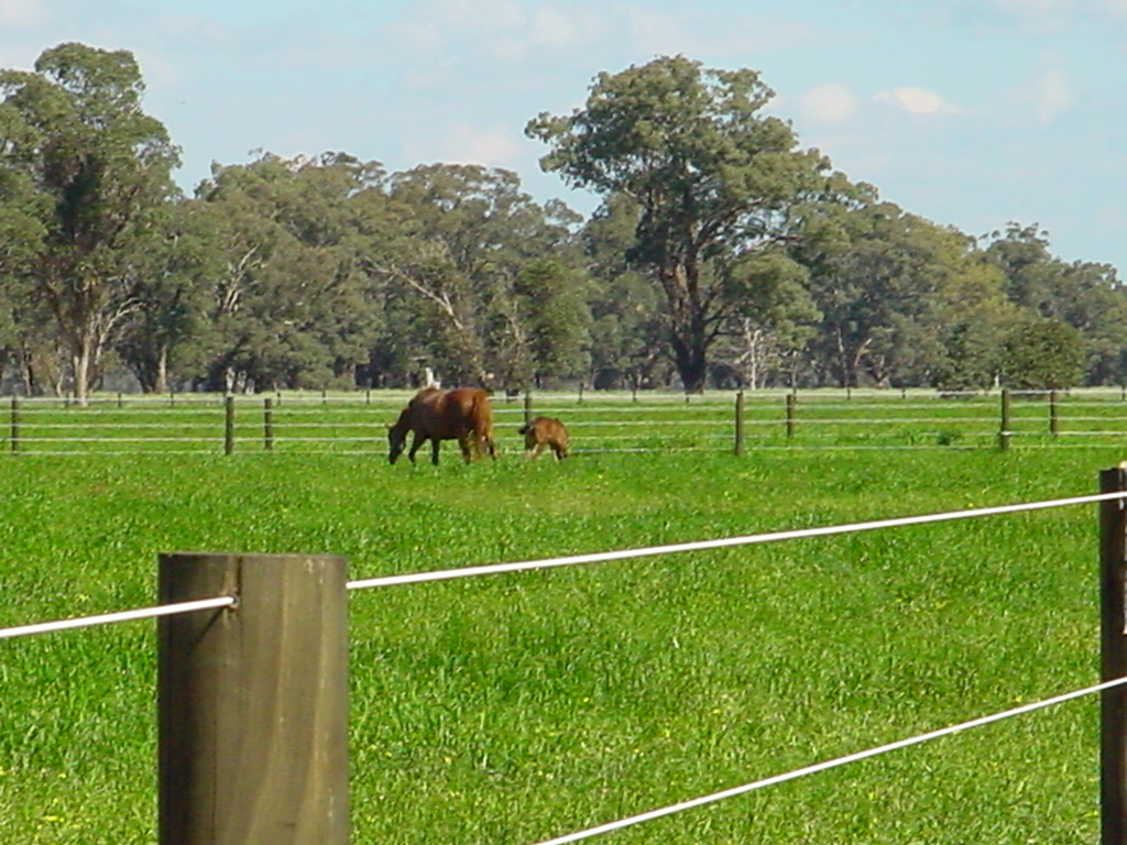 Bayco® Fixings, Hy-Tex UK