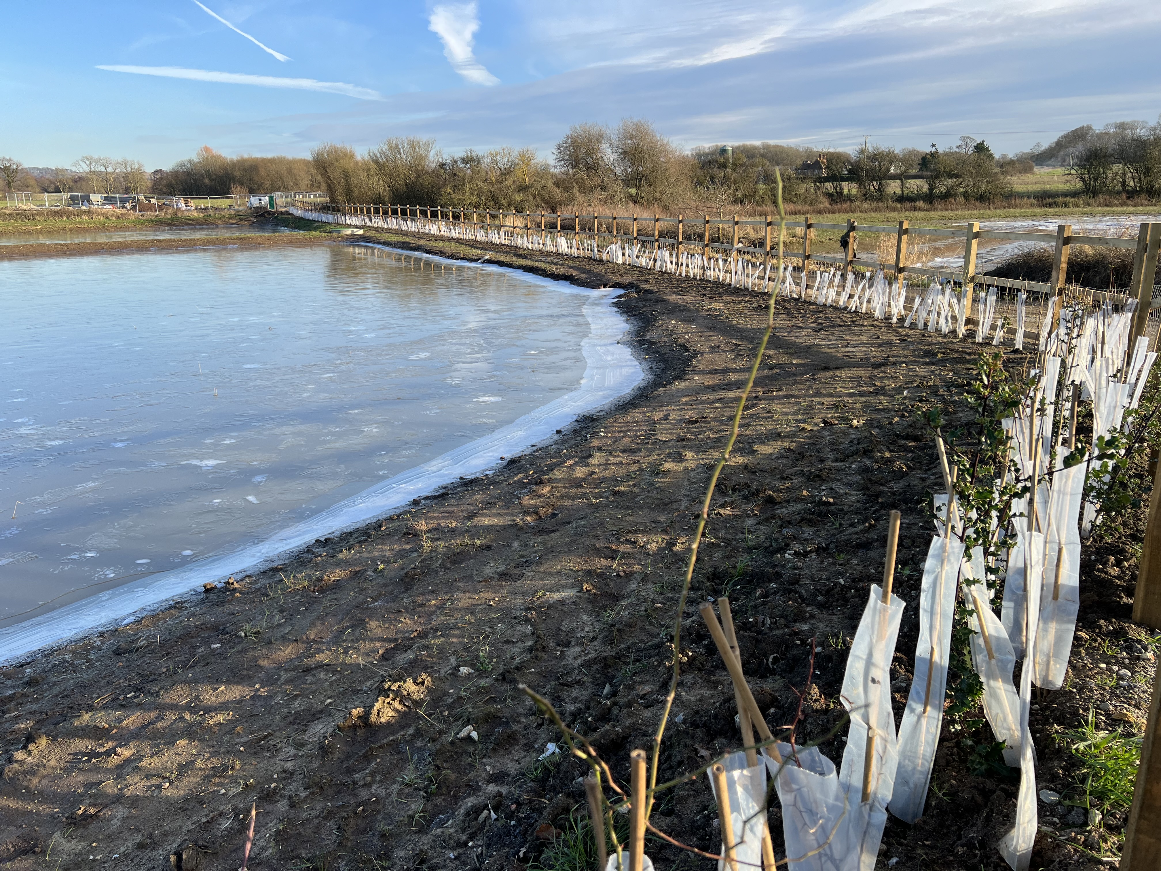 Eco-Haven™ Sleeve - Biodegradable Hedge, Vine & Tree Guards, Hy-Tex UK